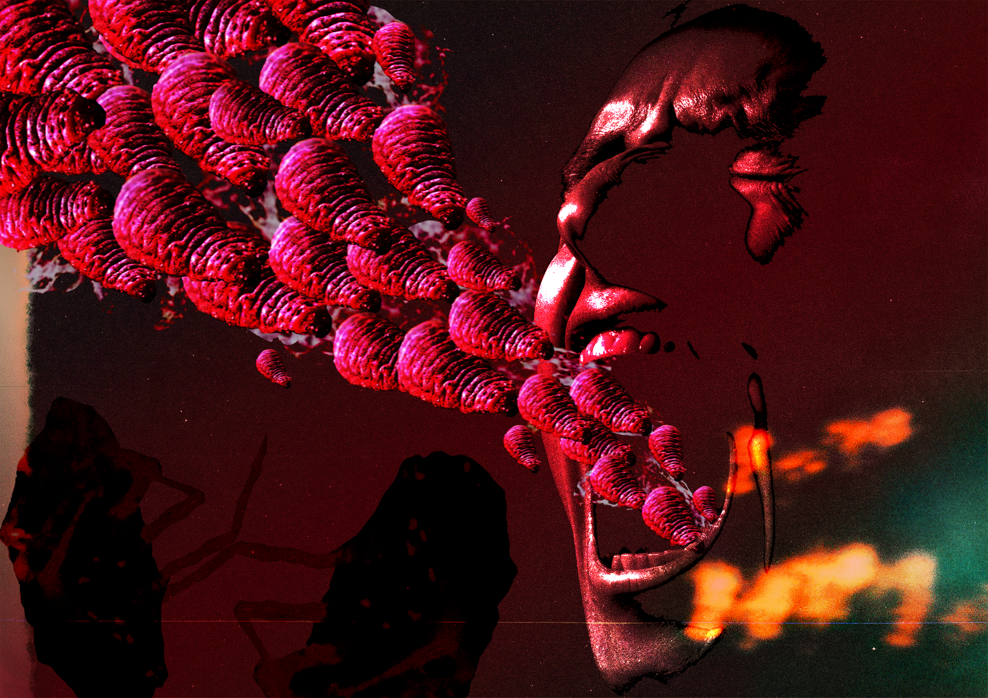 Bug Candy – GC3 MEDIA